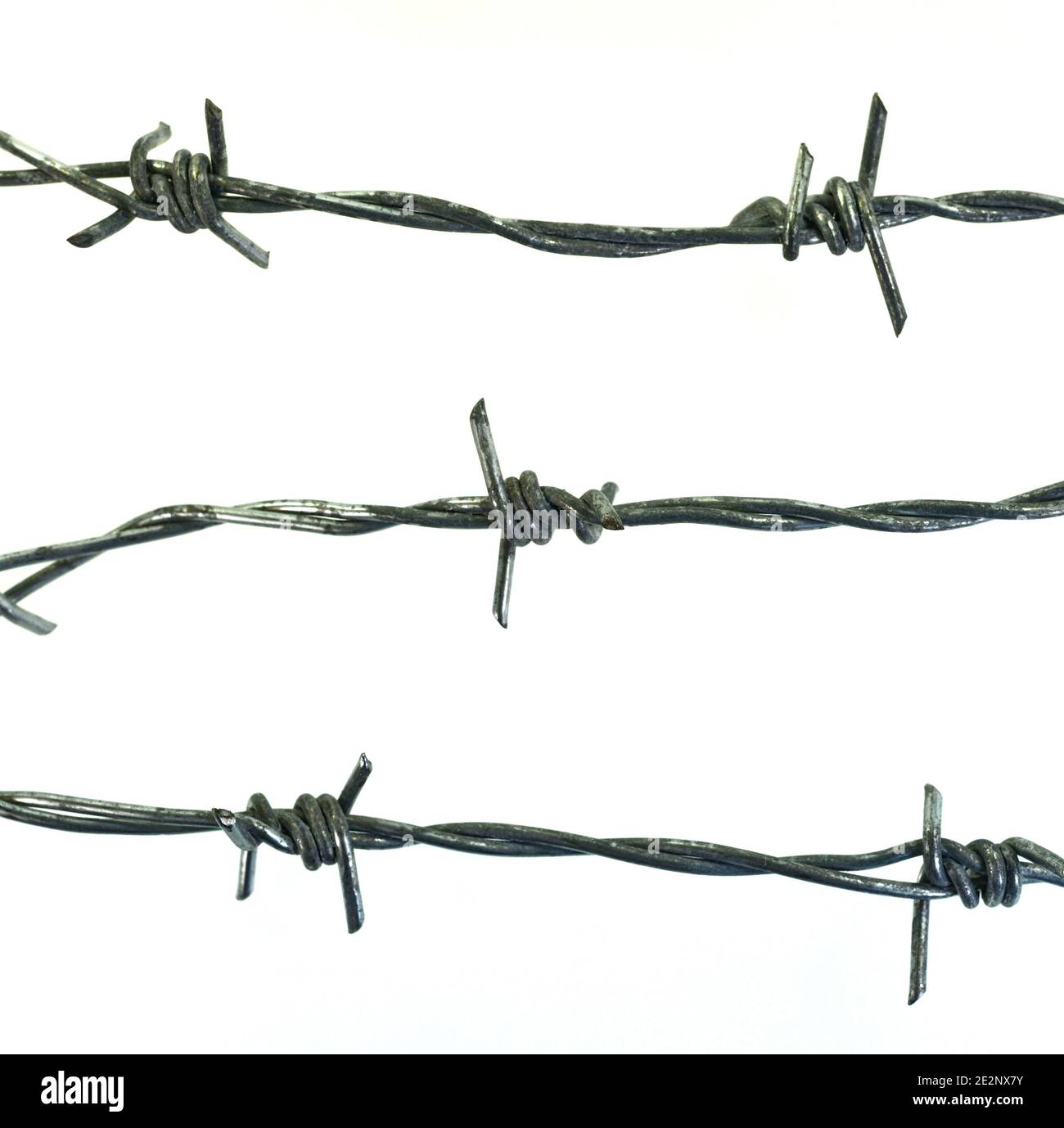 Barbed wire isolated on a white background Stock Photo - Alamy