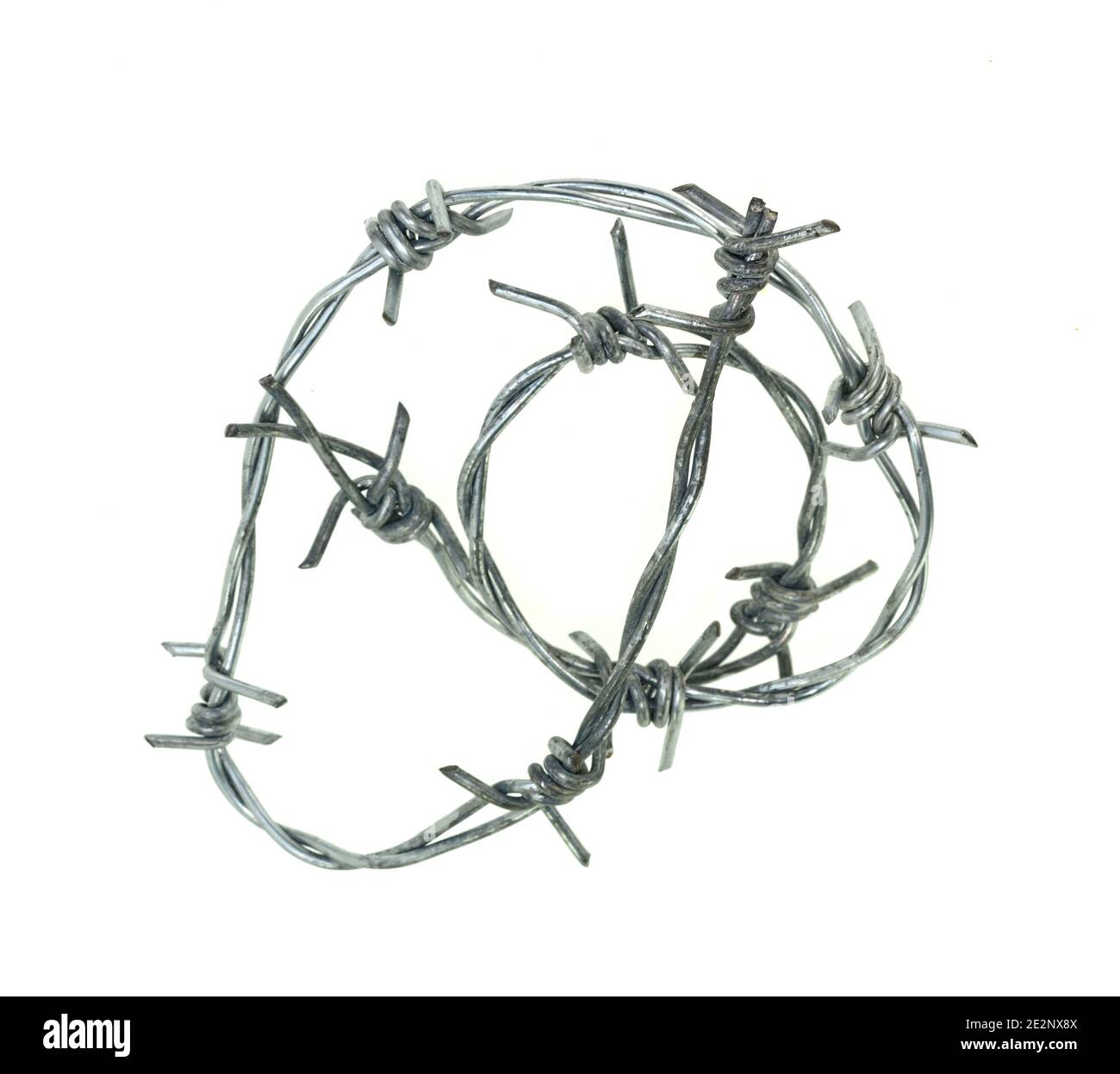 Barbed wire isolated on a white background Stock Photo - Alamy