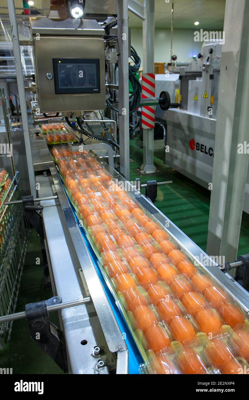 Chicken And Egg Production At Poultry. Factory of fresh eggs Stock ...