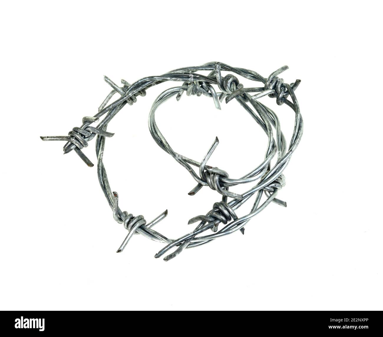 Barbed wire isolated on a white background Stock Photo - Alamy