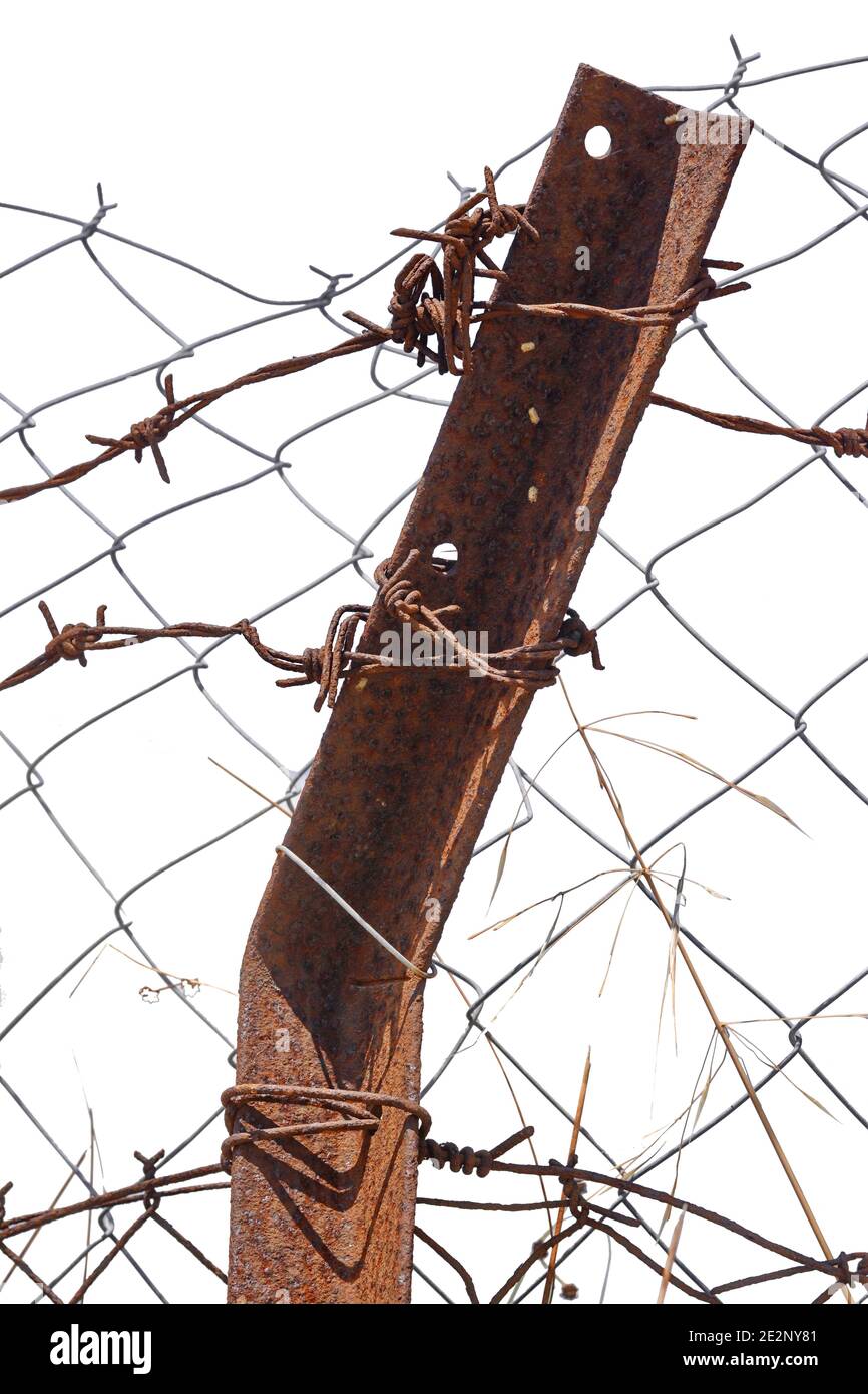 Barbed wire isolated on a white background Stock Photo - Alamy