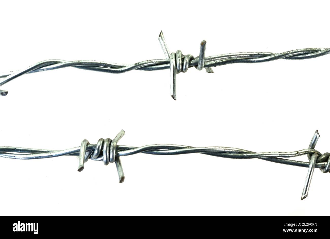 Barbed wire isolated on a white background Stock Photo - Alamy