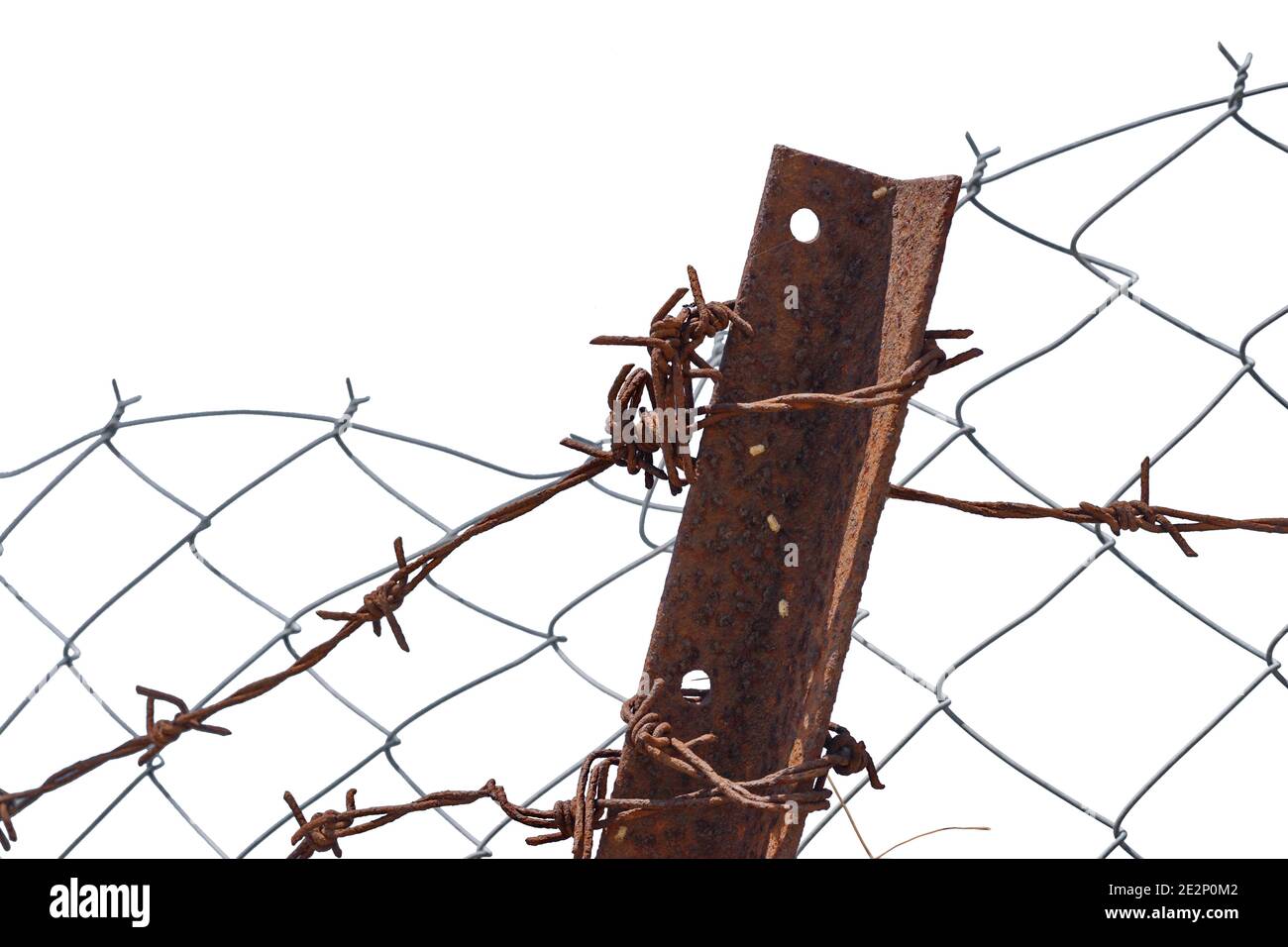 Barbed wire isolated on a white background Stock Photo - Alamy