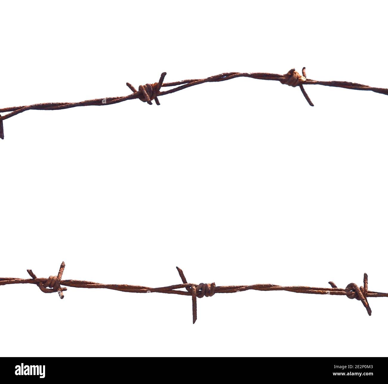 Barbed wire isolated on a white background Stock Photo - Alamy