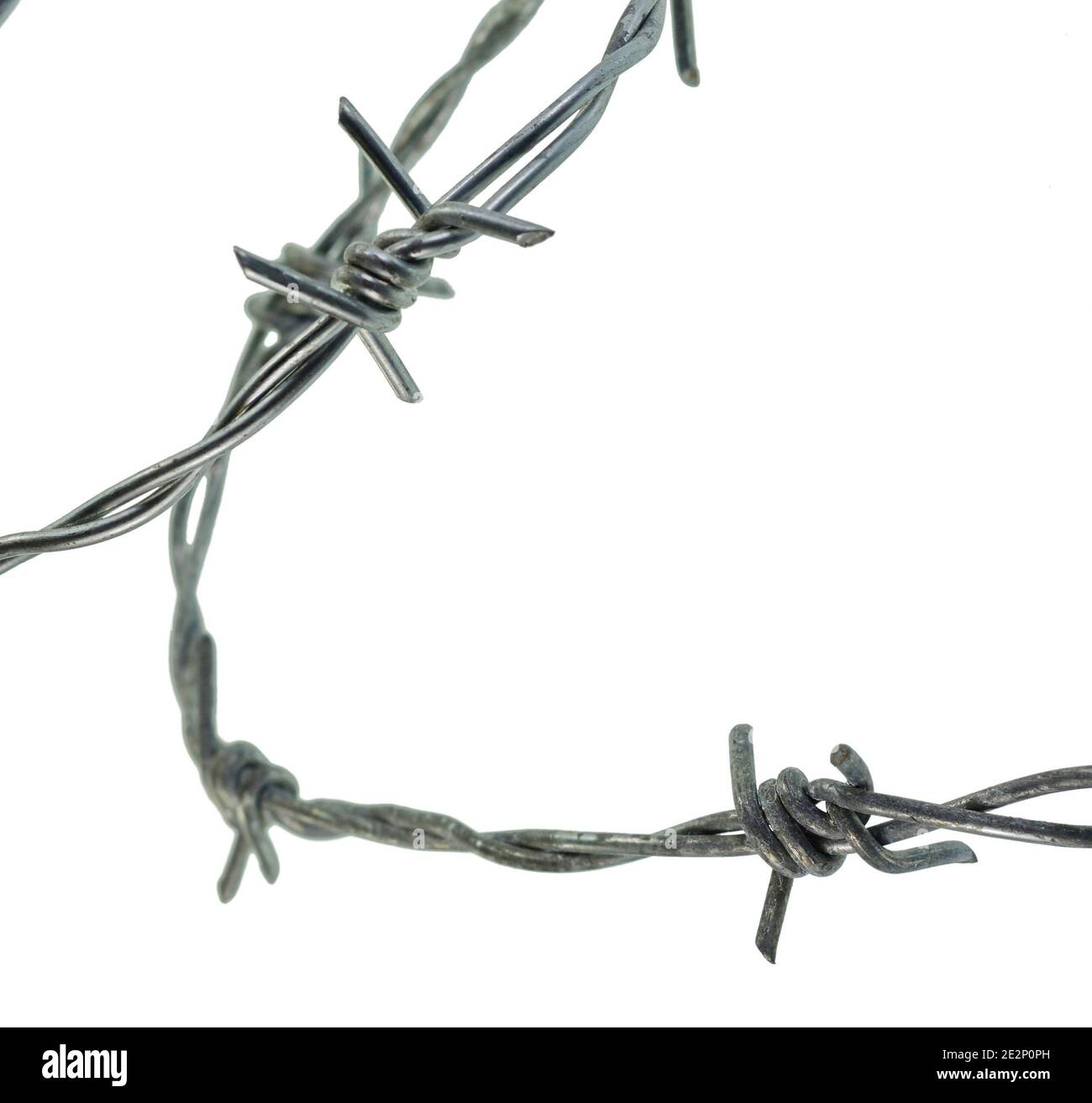 Barbed wire isolated on a white background Stock Photo - Alamy