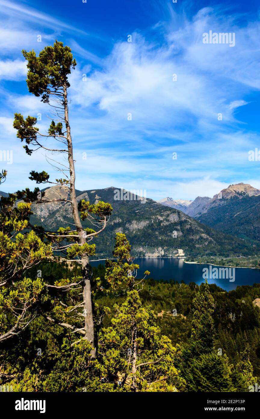 Lake in Bariloche in the summer of March. Sunny. Water and pine trees ...