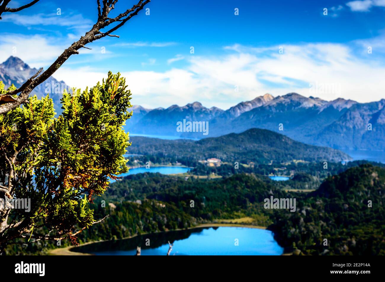 Lake in Bariloche in the summer of March. Sunny. Water and pine trees ...