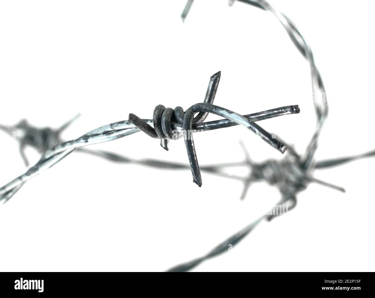 Barbed wire isolated on a white background Stock Photo - Alamy