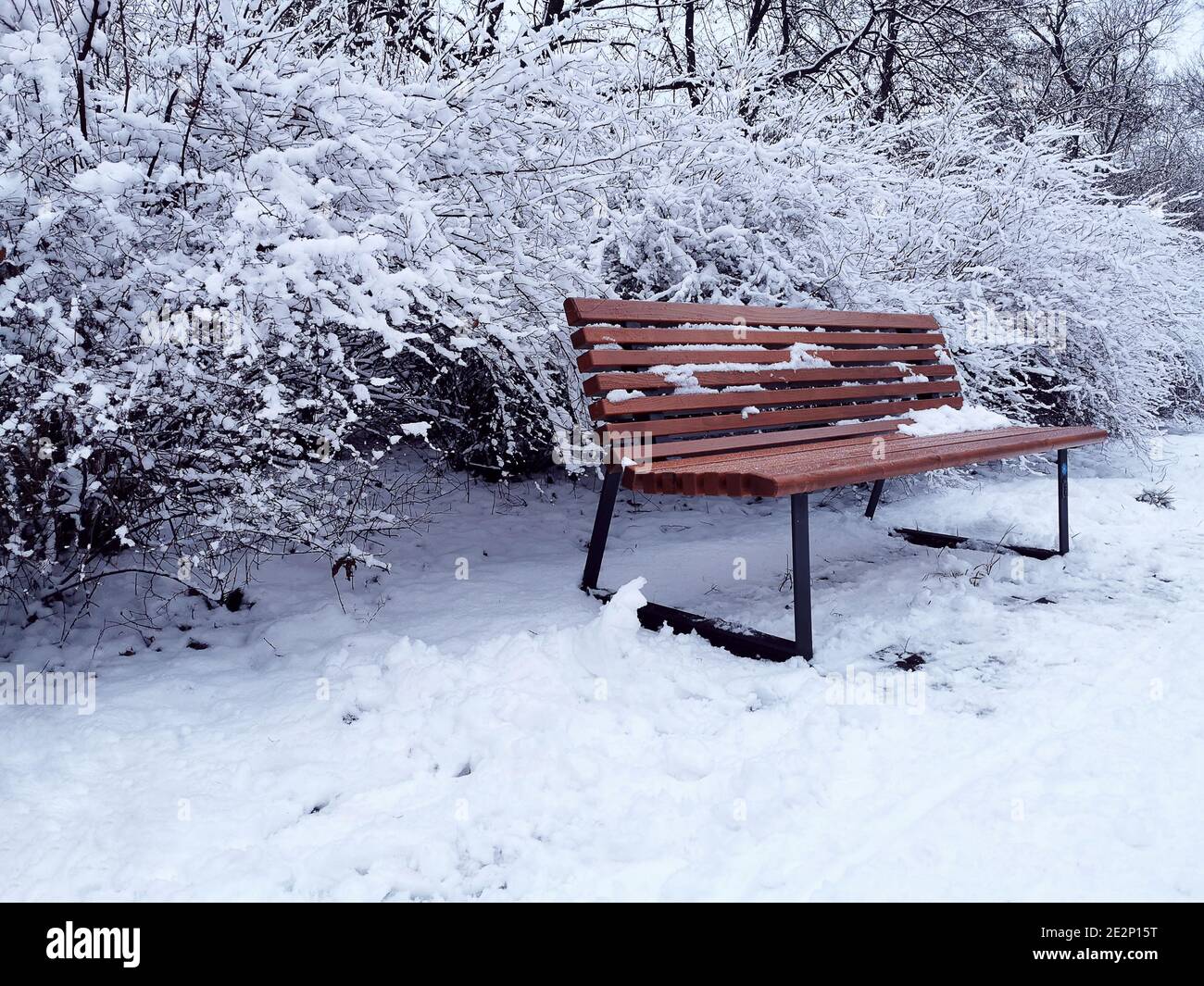 Bench Benches Branch High Resolution Stock Photography and Images - Alamy