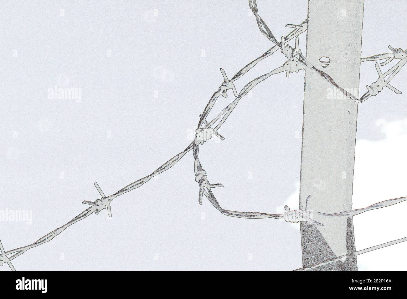 Barbed wire isolated on a white background Stock Photo - Alamy