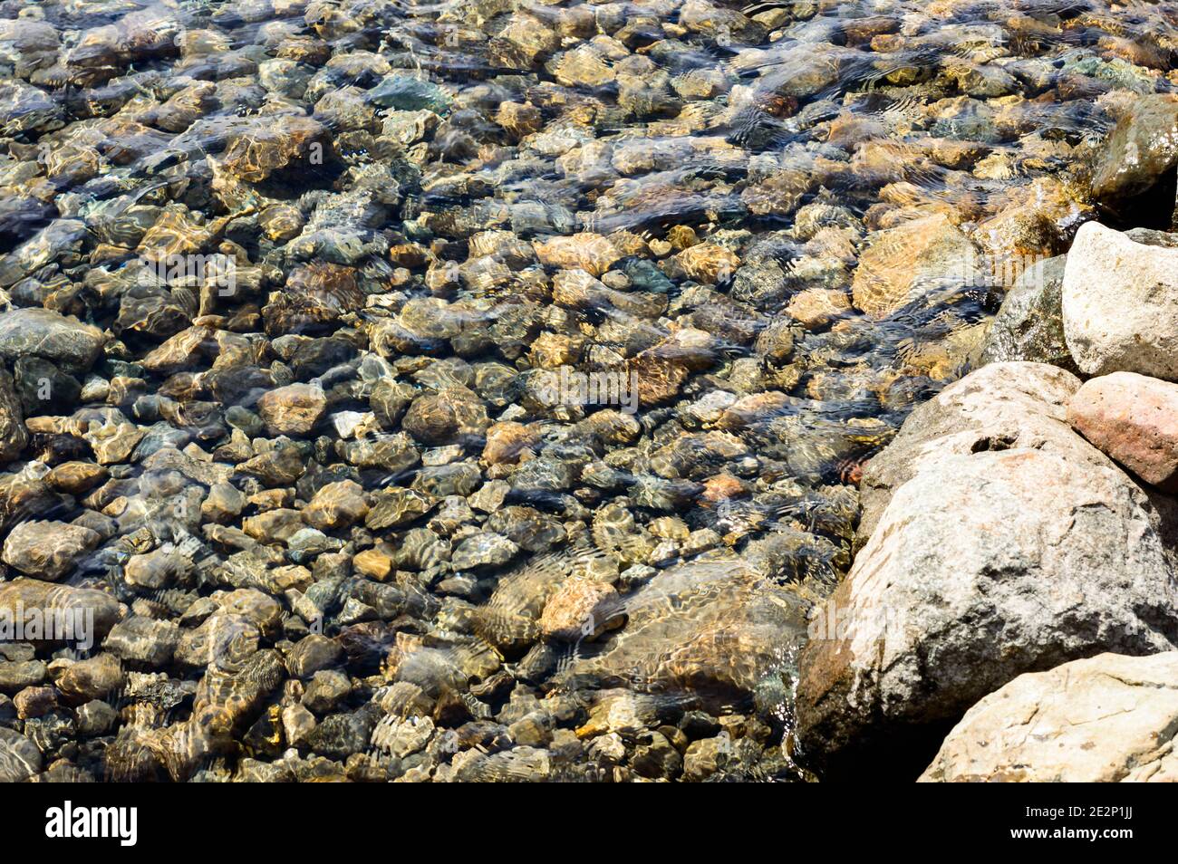 Rocks under crystal clear water Stock Photo - Alamy