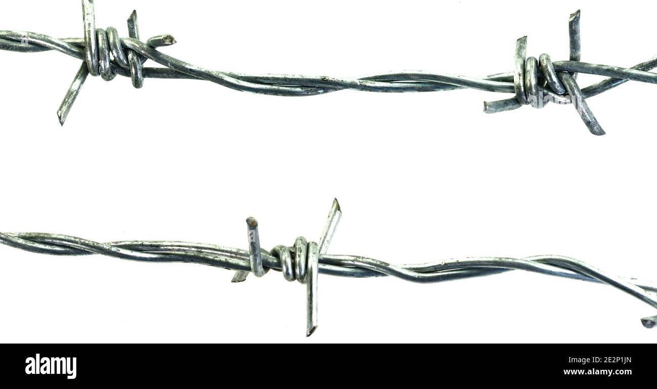 Barbed wire isolated on a white background Stock Photo - Alamy