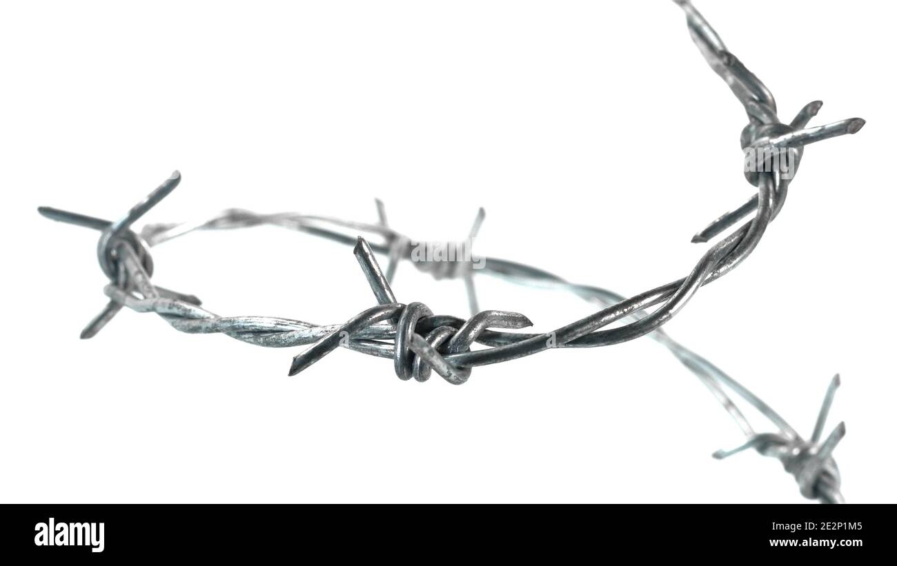Barbed wire isolated on a white background Stock Photo - Alamy
