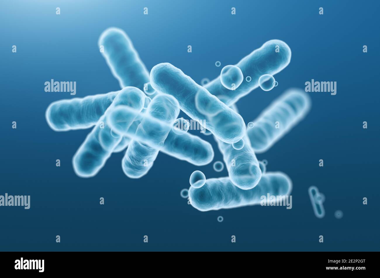 Bacillus shaped bacteria hi-res stock photography and images - Alamy