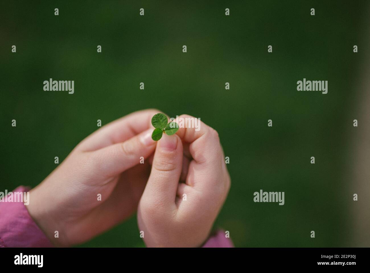 Girls finger plant hi-res stock photography and images - Alamy