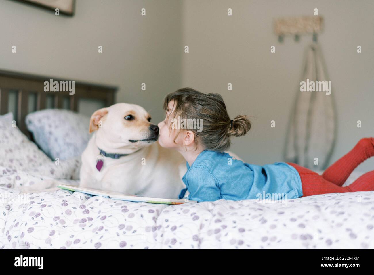 Reading story to dog hi-res stock photography and images - Alamy