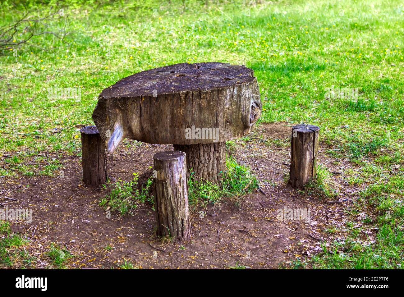 Table made by stump . Barbecue area in rustic style Stock Photo - Alamy