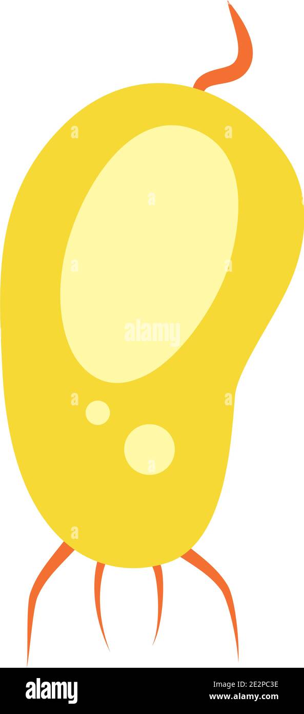 helicobacter bacteria icon over white background, colorful design ...