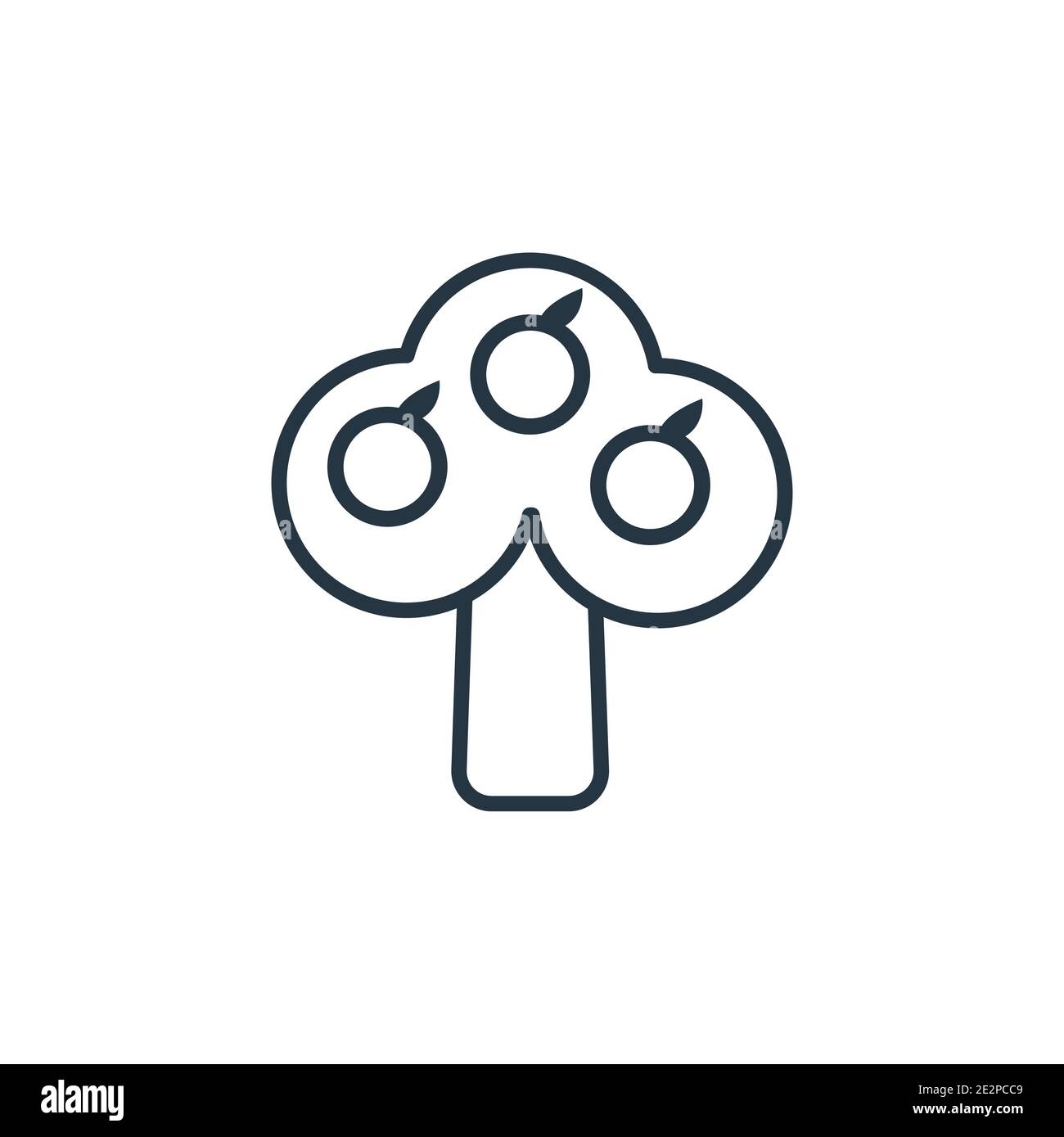 Fruit tree outline vector icon. Thin line black fruit tree icon, flat ...