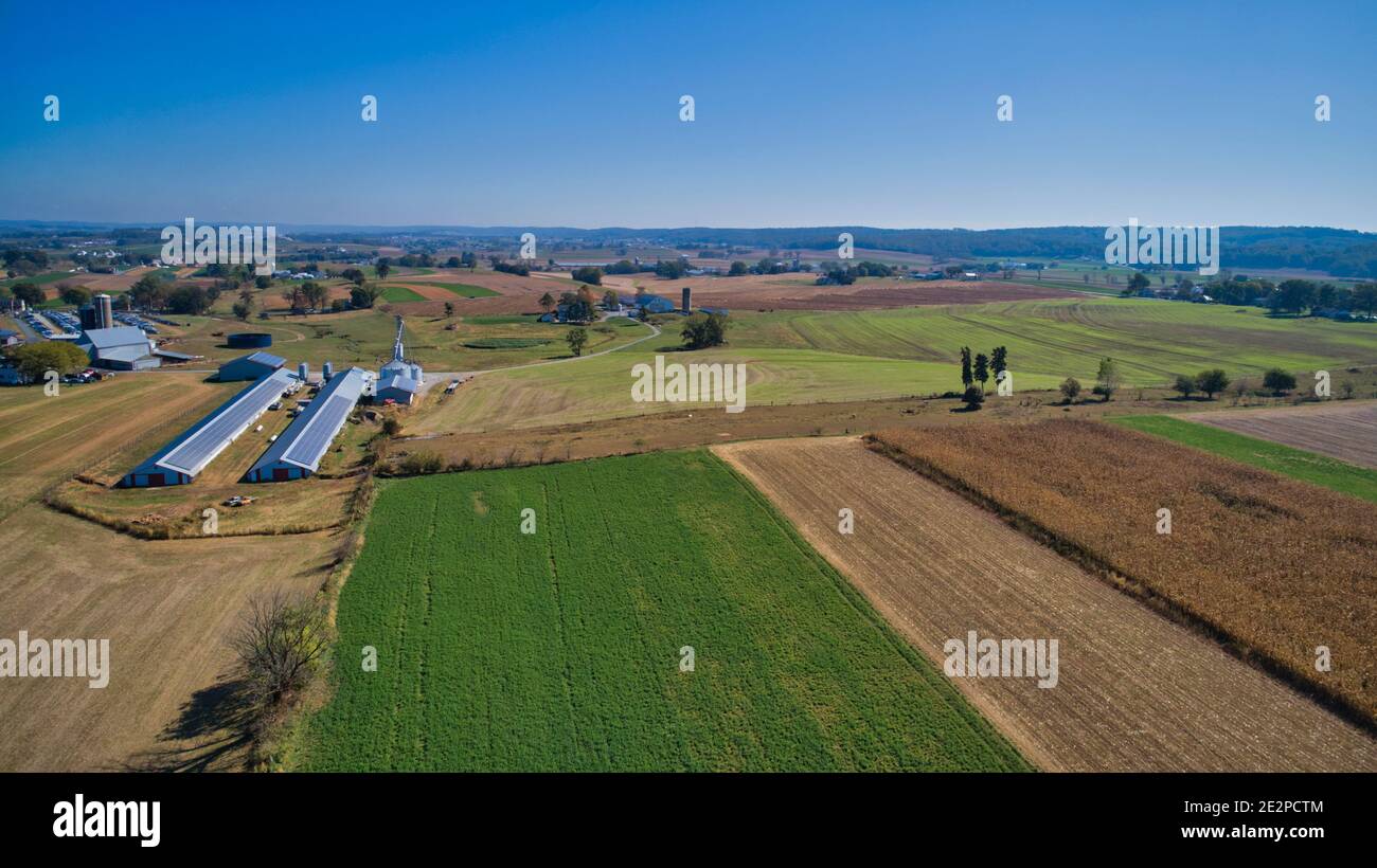 Aerial View of Multiple Farms and Pastures with Field of Corn and other ...