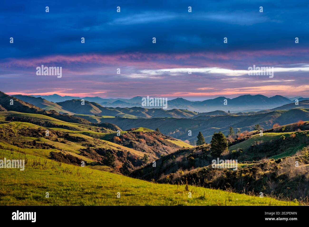 Rolling pasture hills overlooking hi-res stock photography and images ...