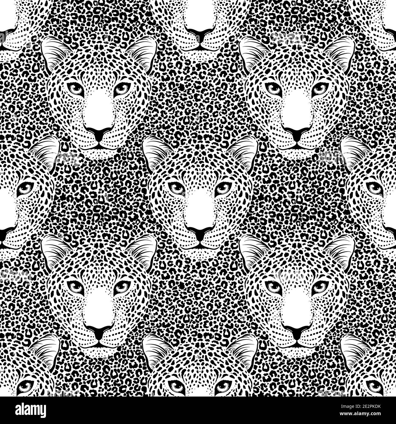 Leopard fabric Cut Out Stock Images & Pictures - Alamy