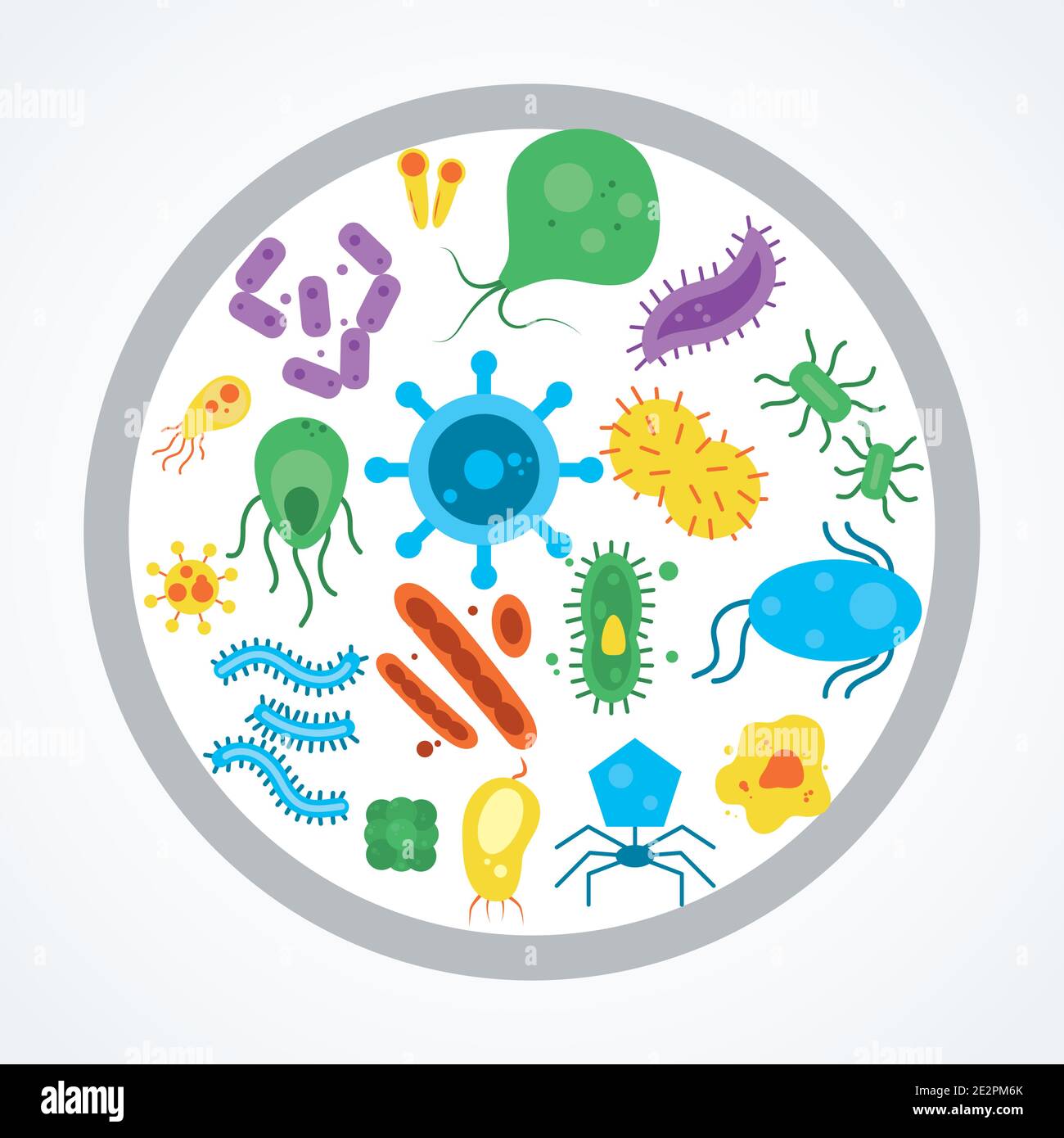 round circle with bacterias and virus over white background, colorful ...