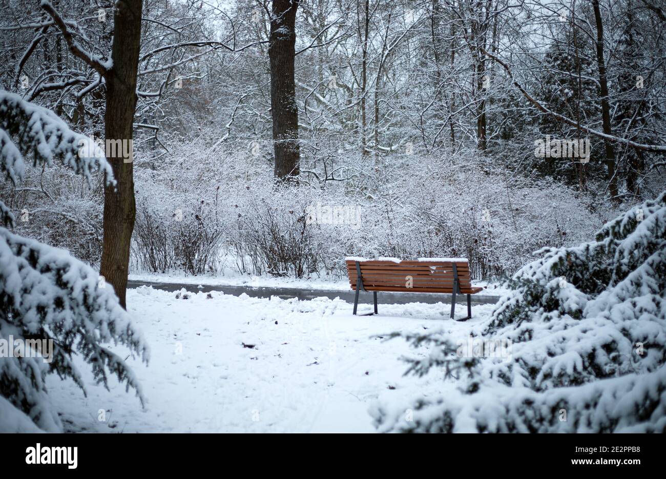 Winter bench tree hi-res stock photography and images - Alamy