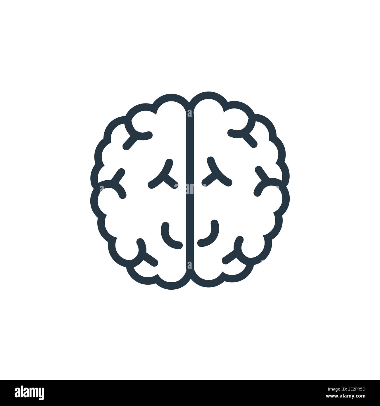Brain Outline Top View