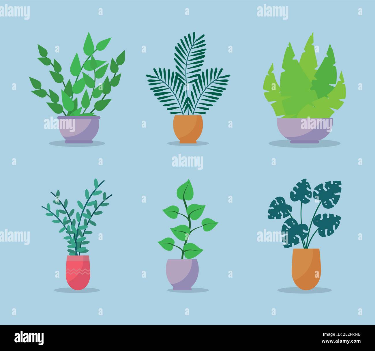 icon set of beautiful indoor plants over blue background, colorful ...