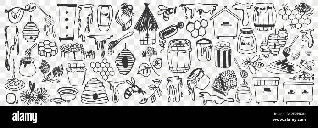 Beekeeping attributes and tools doodle set. Collection of hand drawn ...