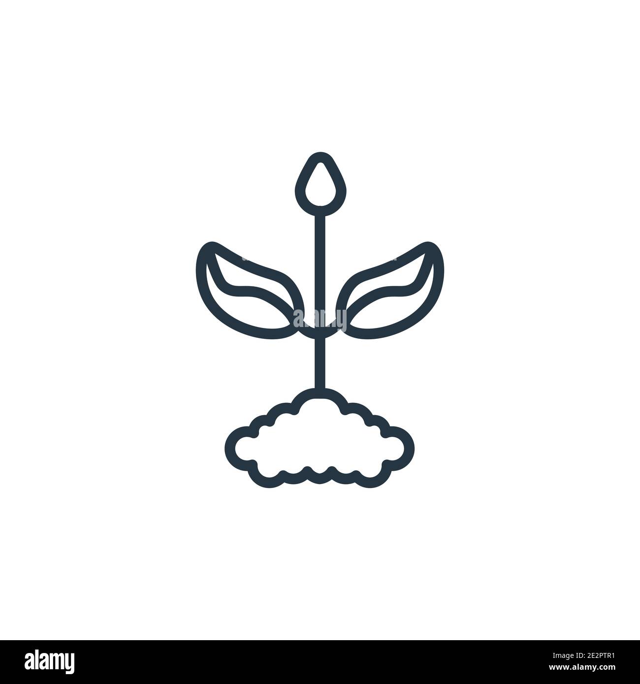 Growing plant outline vector icon. Thin line black growing plant icon ...