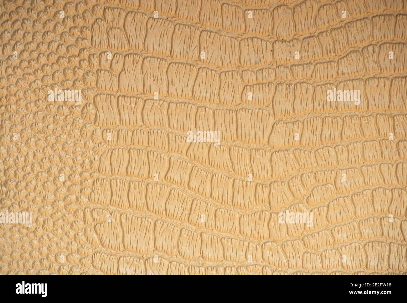 A fragment of the skin of a reptile artificially colored in gold ...