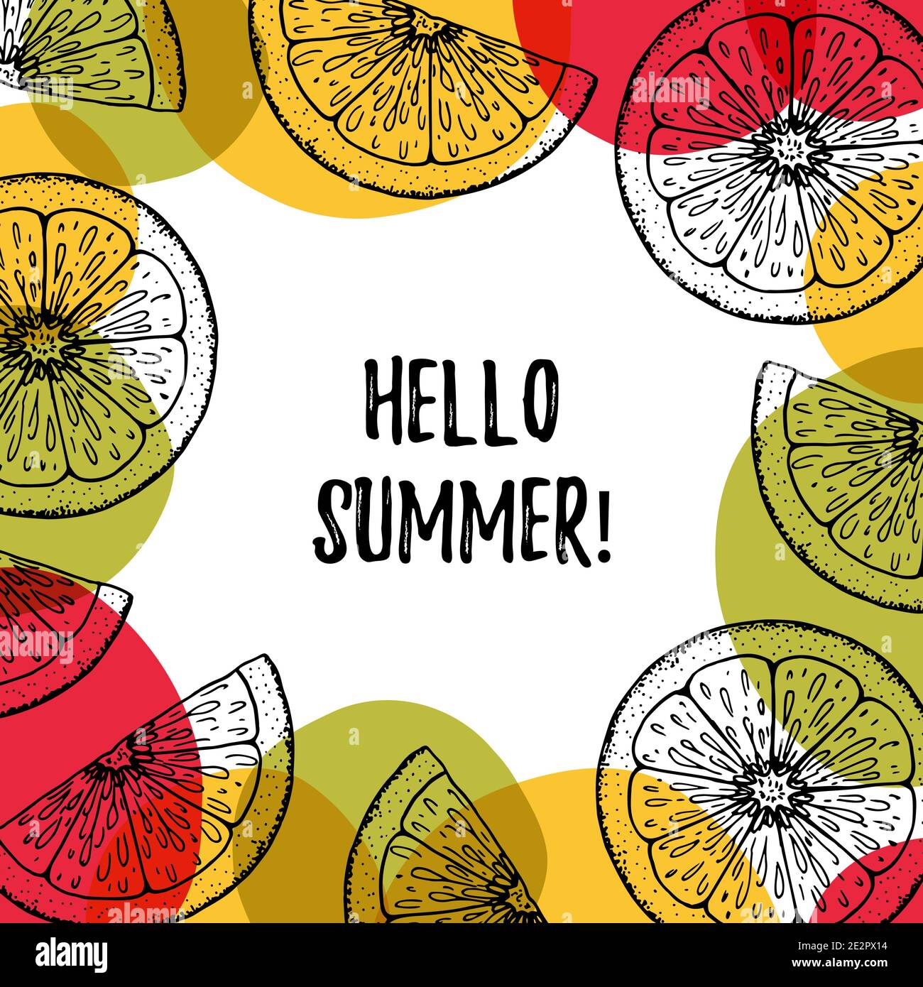 Hello Summer colorful banner with lemon slices. Vector illustration ...
