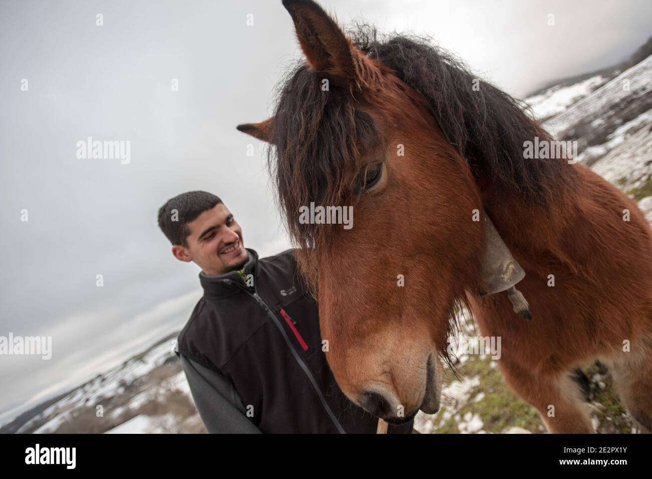 Pottoka horse pyrenees hi-res stock photography and images - Alamy