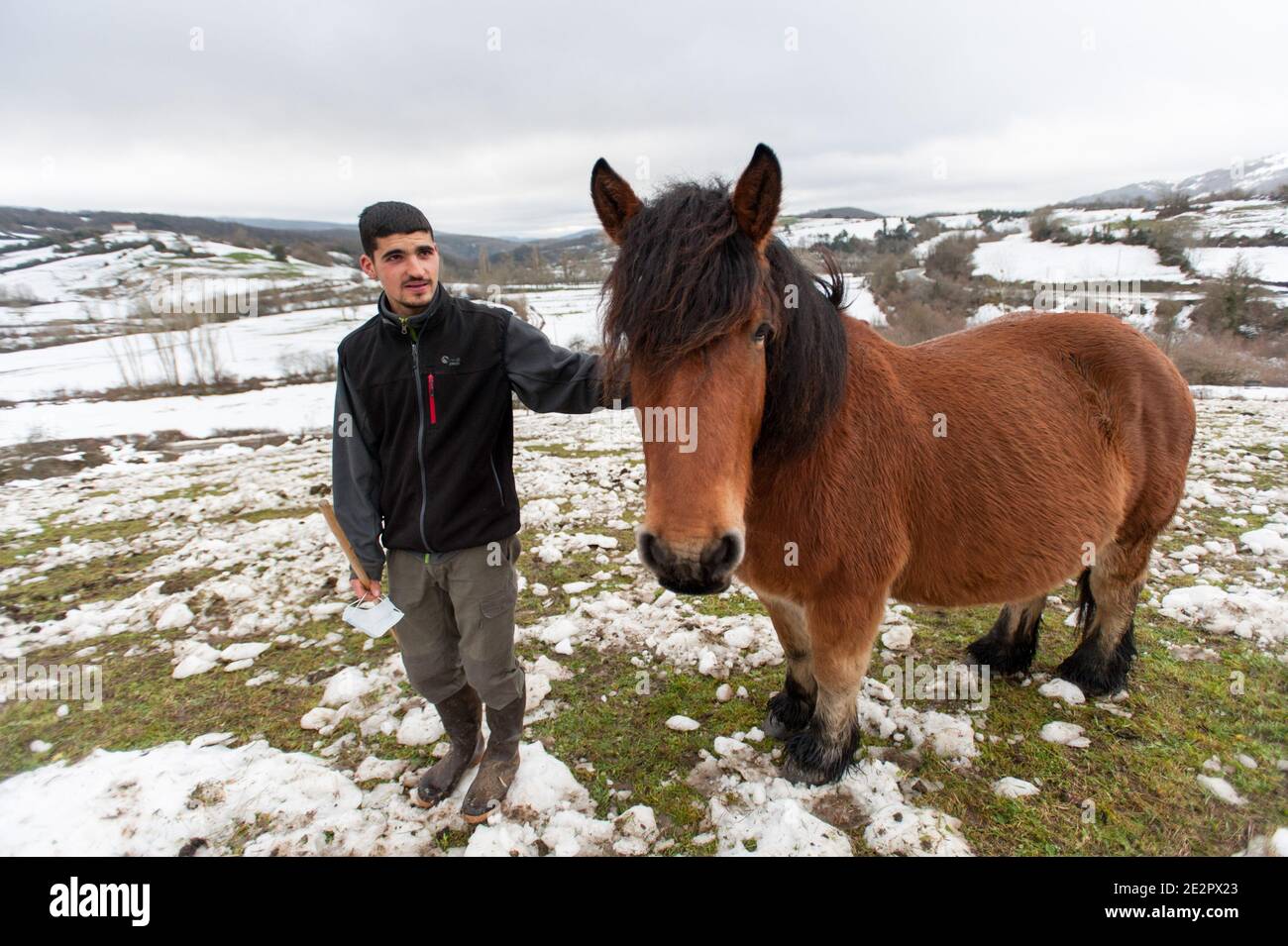 Pottoka horse pyrenees hi-res stock photography and images - Alamy