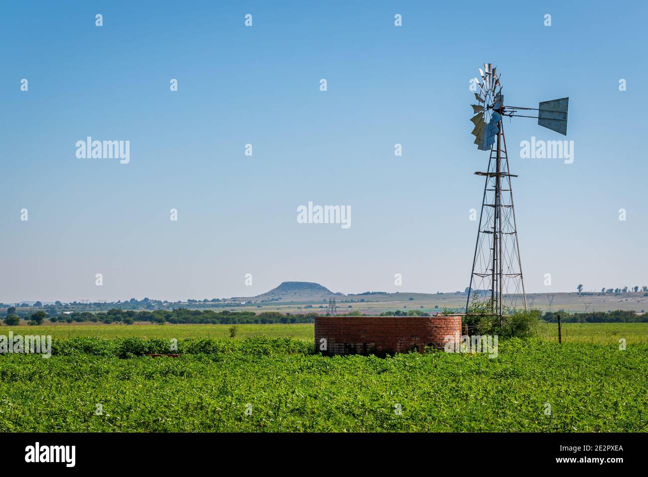Windmill and Dam in green field after rain Stock Photo - Alamy