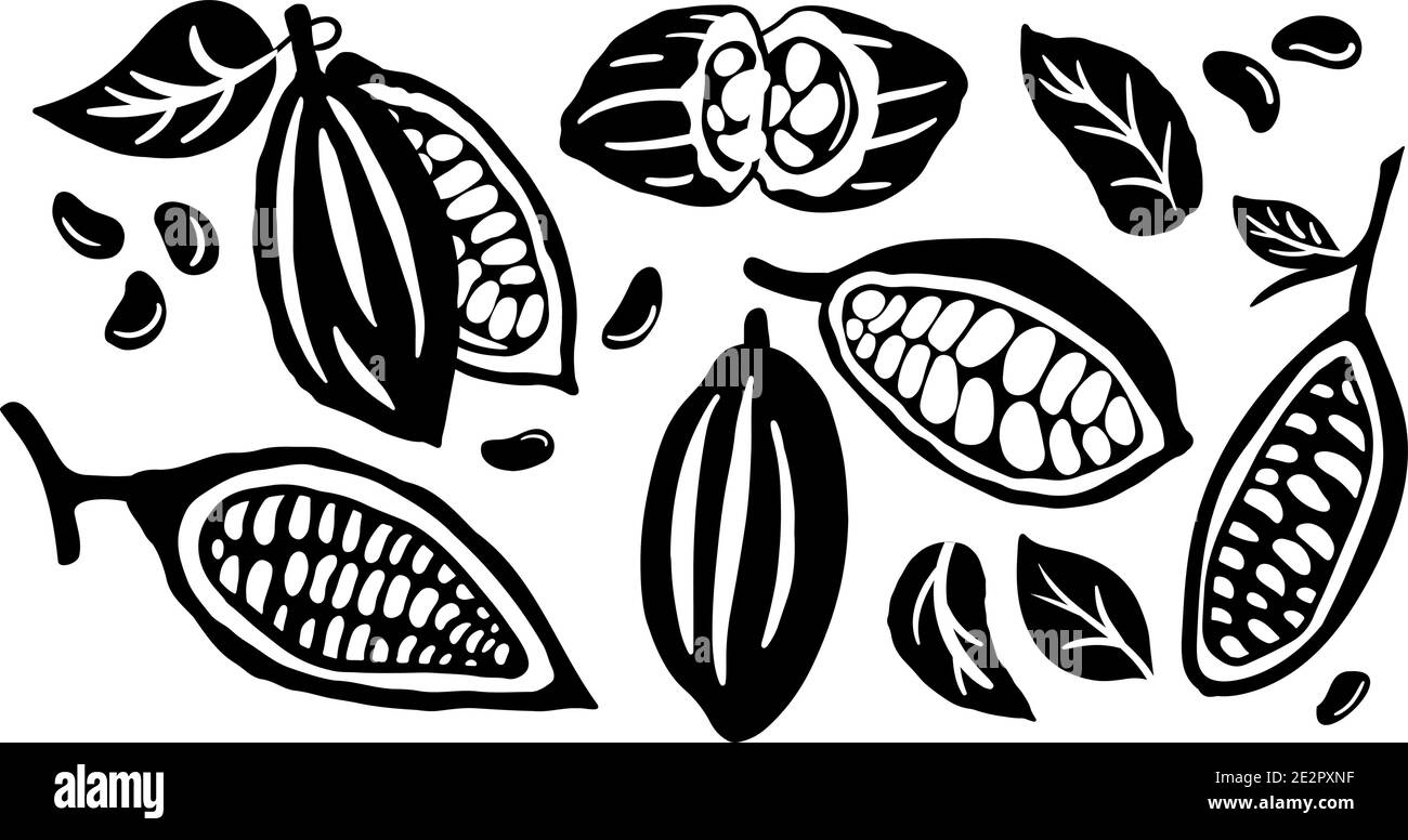 Cocoa pod and many raw beans set isolated on white background. Logo ...