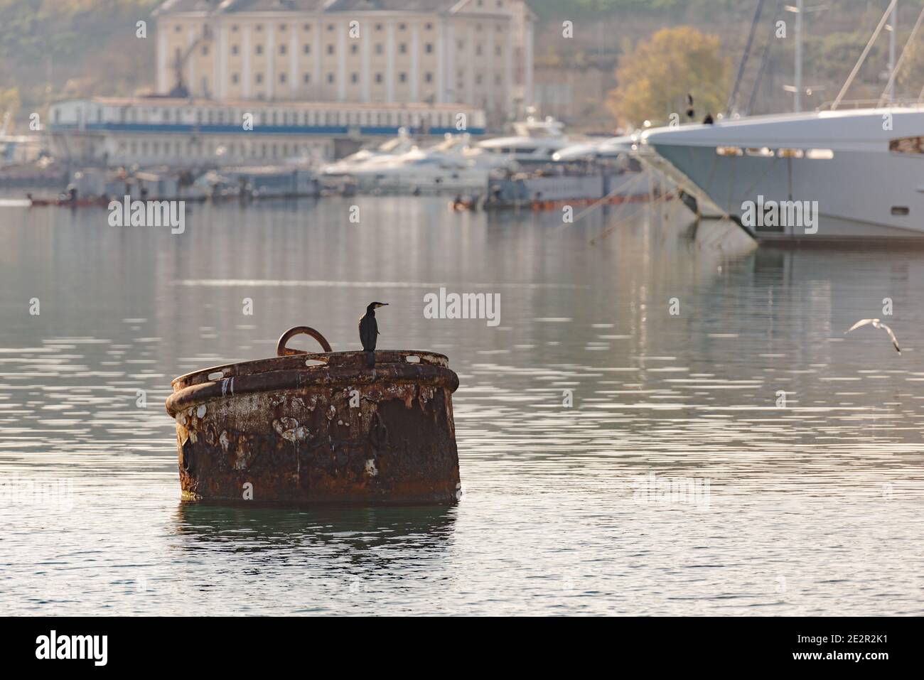 Raid barrel in the bay. A large metal barrel for mooring the ship Stock ...