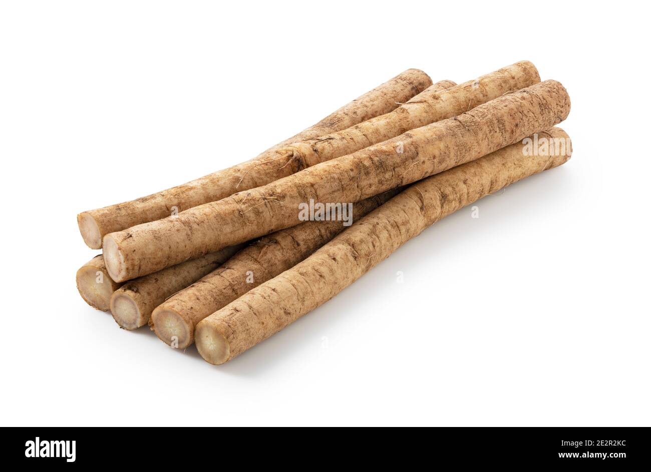 Edible burdock greater burdock roots hi-res stock photography and ...