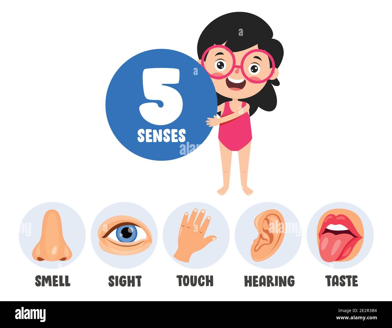Five Senses Concept With Human Organs Stock Vector Image & Art - Alamy