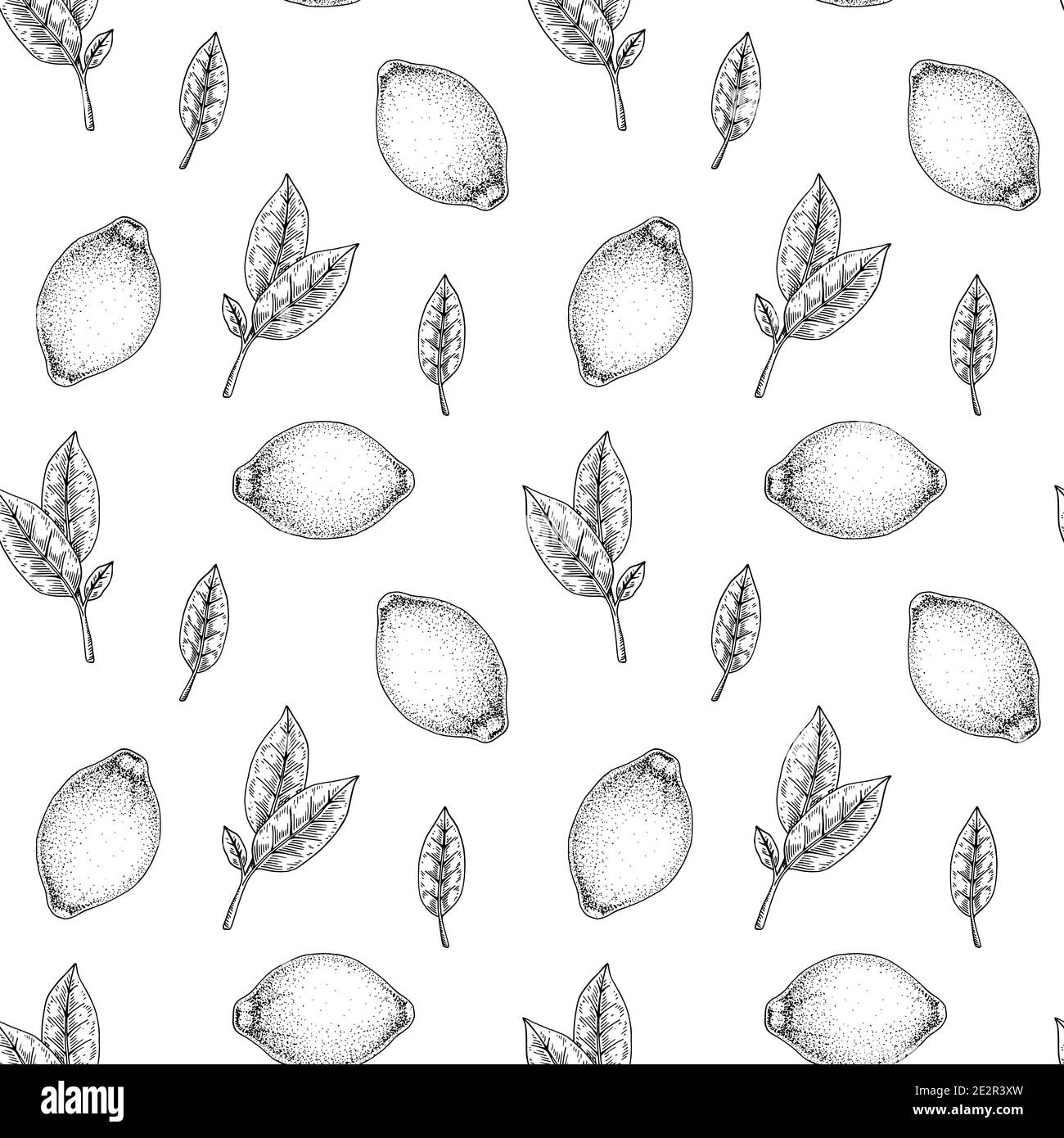 Hand drawn lemon seamless pattern. Vector illustration in sketch style ...
