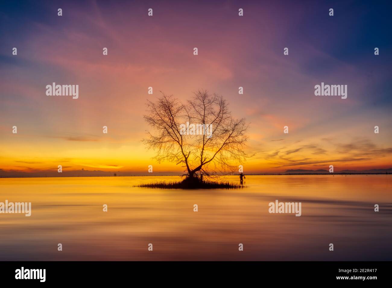 Scene of beautiful sunrise in the morning. sky background and sunlight ...