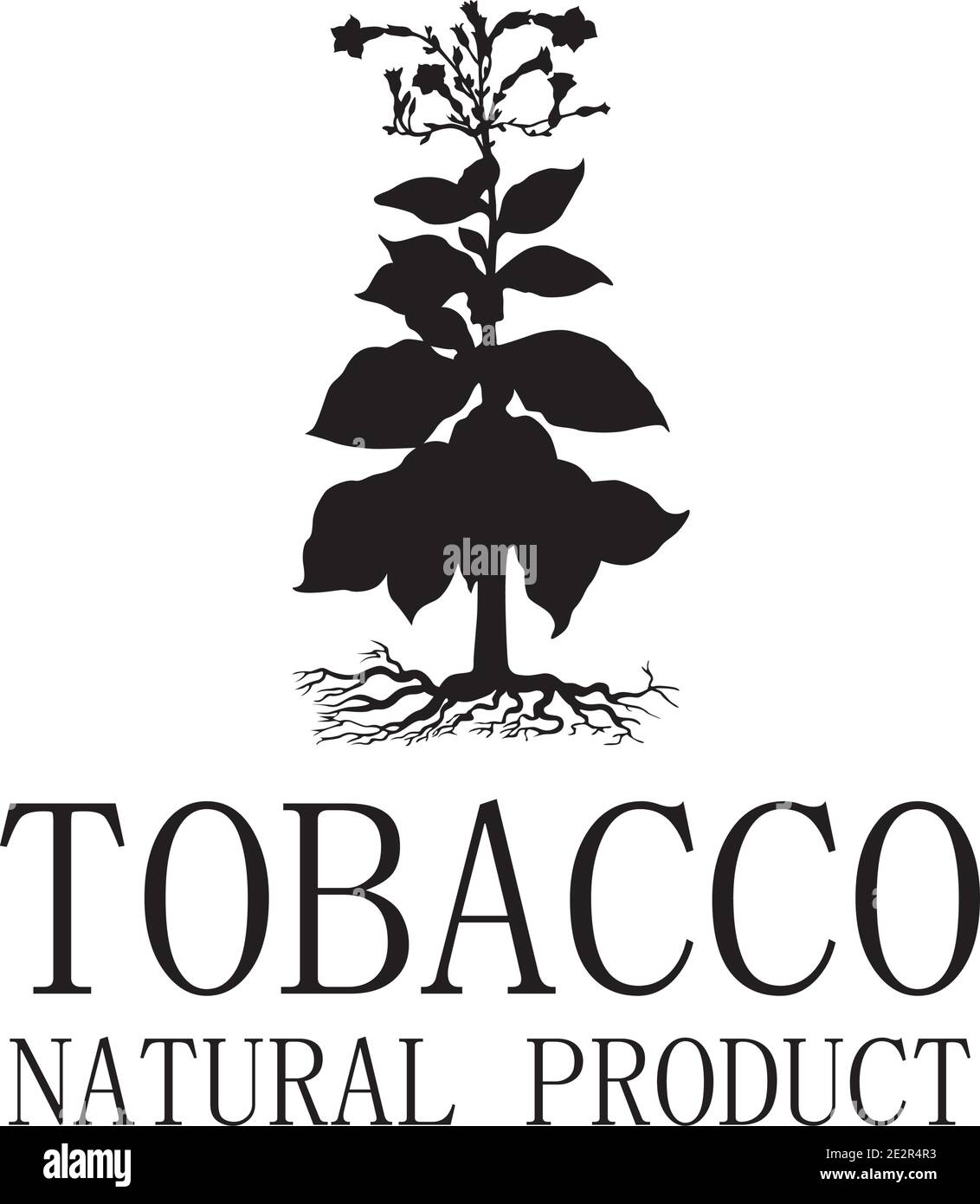 Vector logo for natural tobacco products Stock Vector Image & Art - Alamy