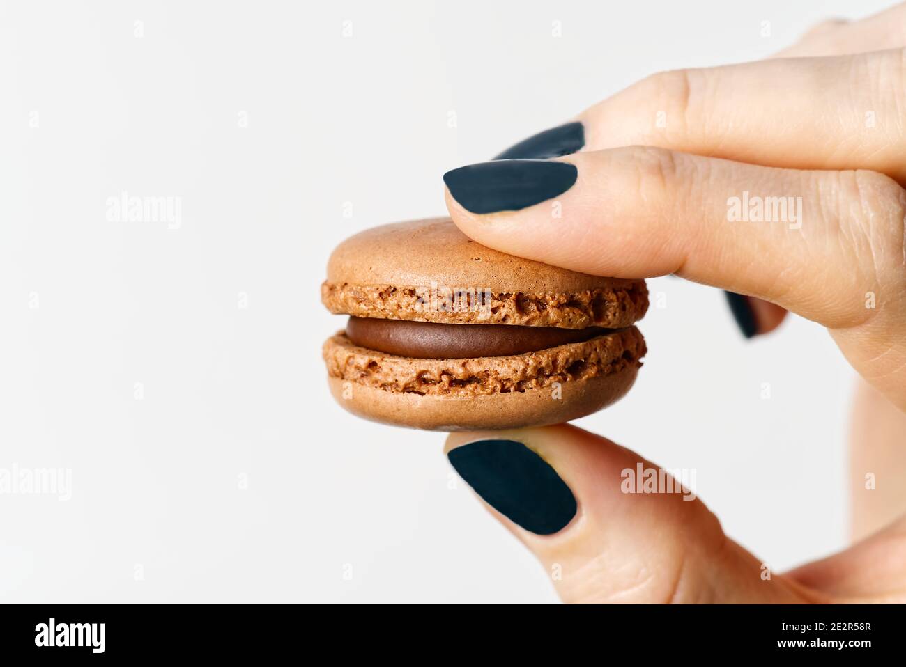 Macaron in woman hand on white background with copy space Stock Photo ...
