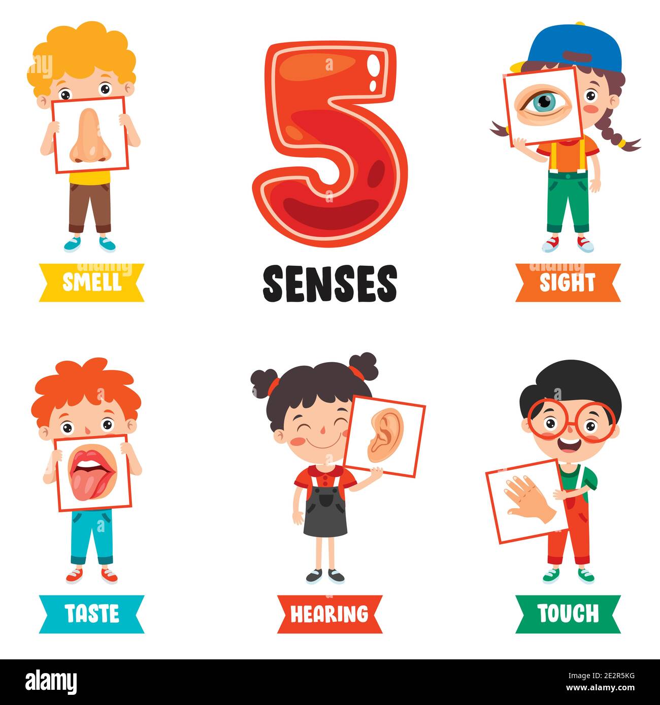 Five Senses Concept With Human Organs Stock Vector Image & Art - Alamy