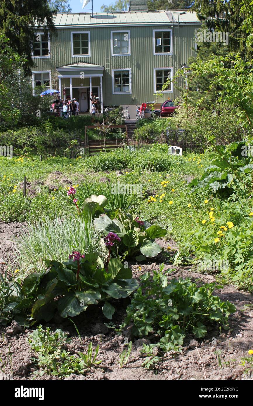 Kumpula Village Party (Kumpulan kyläjuhlat) in Kumpula, Helsinki ...