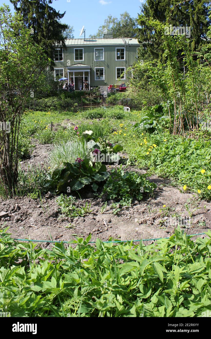 Kumpula Village Party (Kumpulan kyläjuhlat) in Kumpula, Helsinki ...