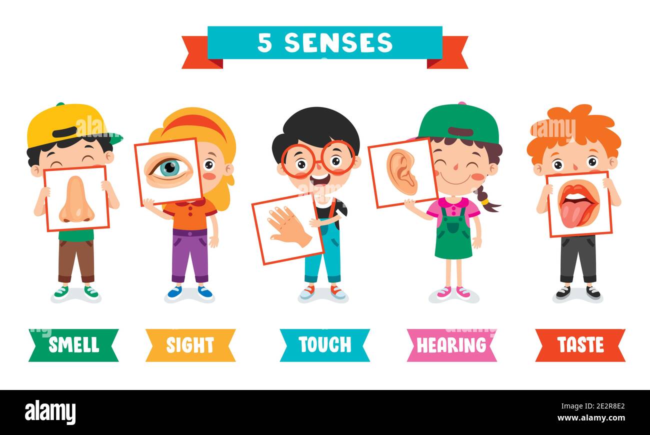 Five Senses Concept With Human Organs Stock Vector Image & Art - Alamy