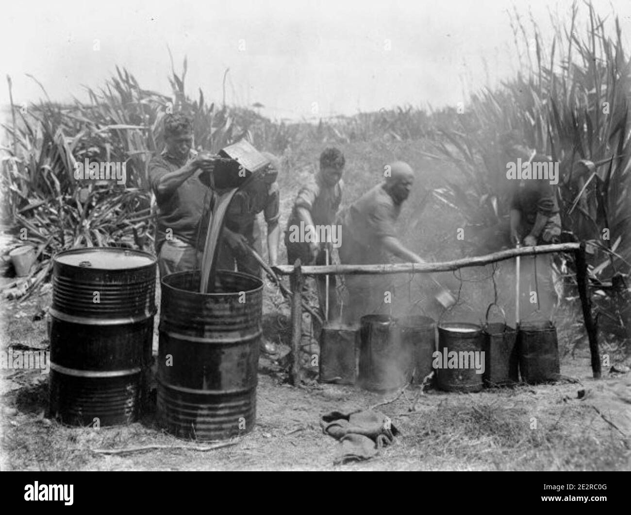 Men boiling the blubber of a beached blackfish at Tokerau Beach. (New ...